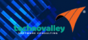 Technovalley Software - Detailed Profile | Coursetakers.com